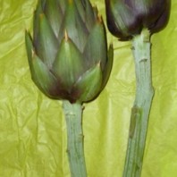 Come preparare i carciofi